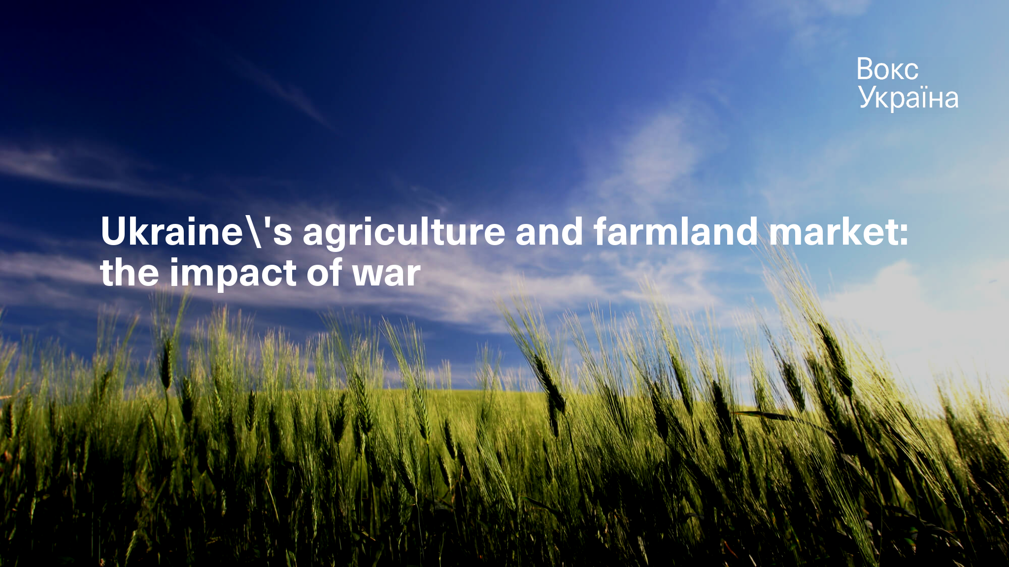 Ukraine's agriculture and farmland market: the impact of war